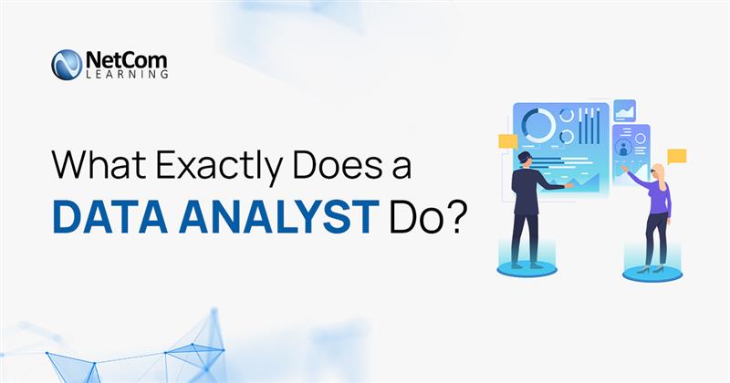 What Does a Data Analyst Do? 2025 Exclusive Career Guide