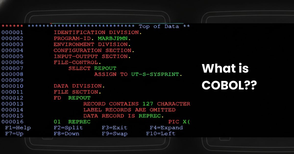 What is COBOL and Who Still Uses It?