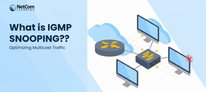What Is IGMP Snooping?