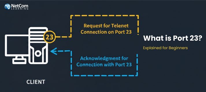 What Is Port 23? Telnet Port Explained, Uses, Security Risks, and ...